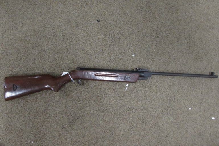 Vintage Pioneer .177 Pellet Rifle