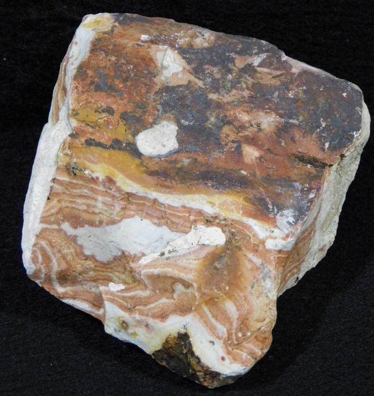 WONDERSTONE ROCK STONE LAPIDARY SPECIMEN (#70033) on Sep 06, 2021 | Col ...