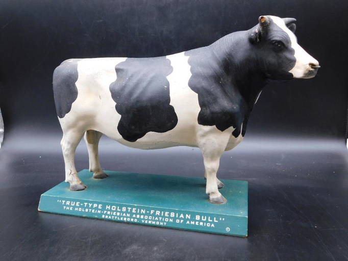 True Type Holstein Friesian Bull Holstein Friesian Association Of ...