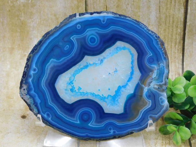 Agate Slice Rock Stone Lapidary Specimen