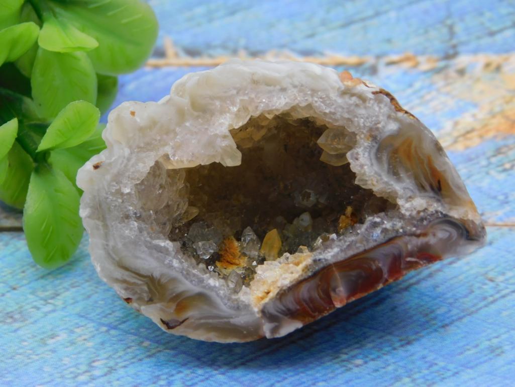 Geode Rock Stone Lapidary Specimen Auction