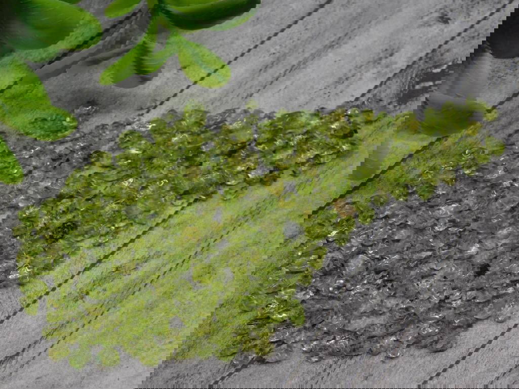 Peridot Rock Stone Lapidary Specimen Auction