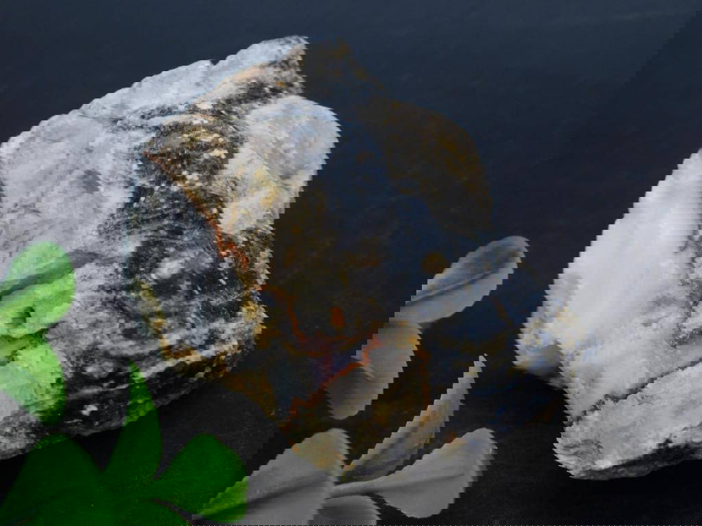 Natural Uncut Banded Quartz Rock Specimen (82 Grams) Auction