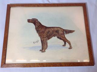 William Luckett Watercolor Red Irish