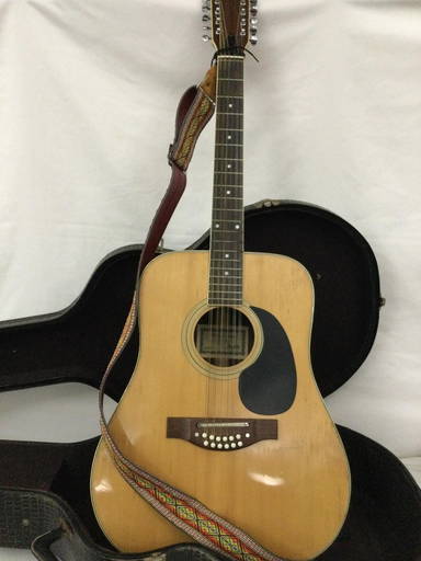 Penco Acoustic Guitar In Case