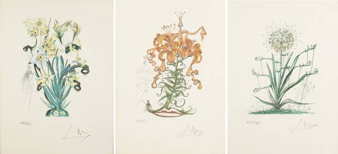 After Salvador Dali 3 Plates From The "floral Suite"