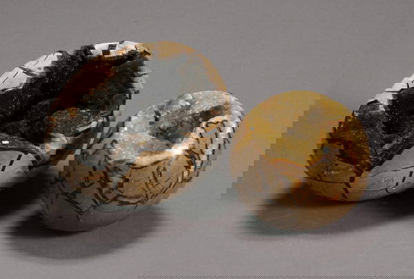 Two Pyritized Nodule Fossils Jurassic Period (208