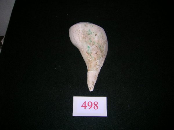 498: Conch Shell Dipper