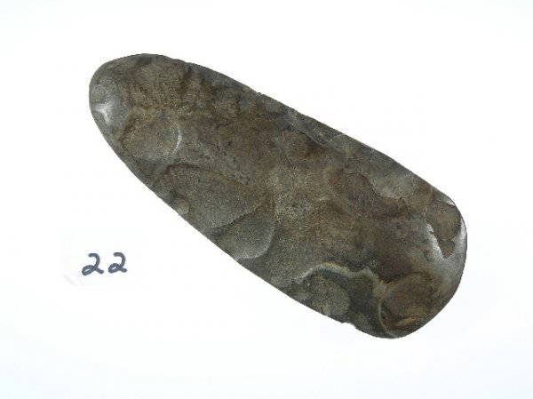 Highly Polished Flint Celt - Mar 03, 2007 | Old Barn Auction, LLC in OH