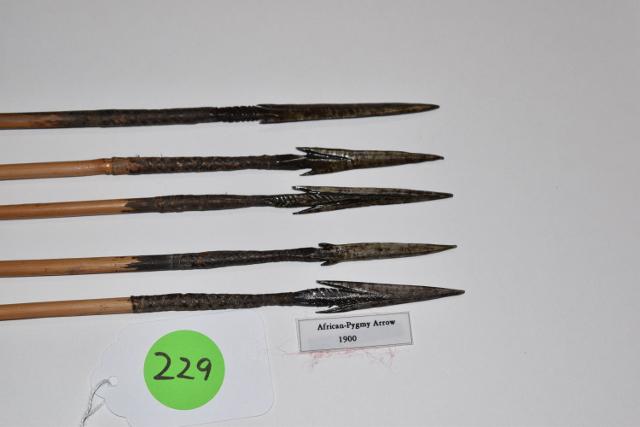 Five African-Pygmy Arrows - Feb 22, 2020 | Old Barn Auction, LLC in OH