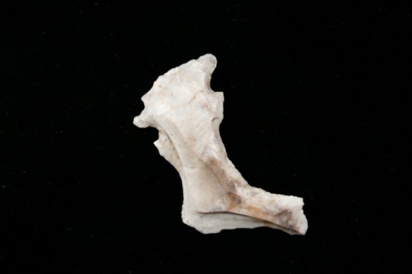 179: HAFTED SHAFT SCRAPER