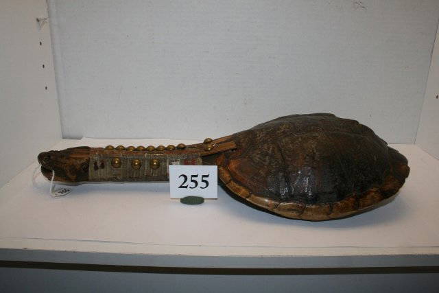 Snapping Turtle Rattle - Jun 15, 2013 | Old Barn Auction, LLC in OH