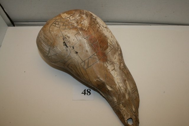 Engraved Conch Shell