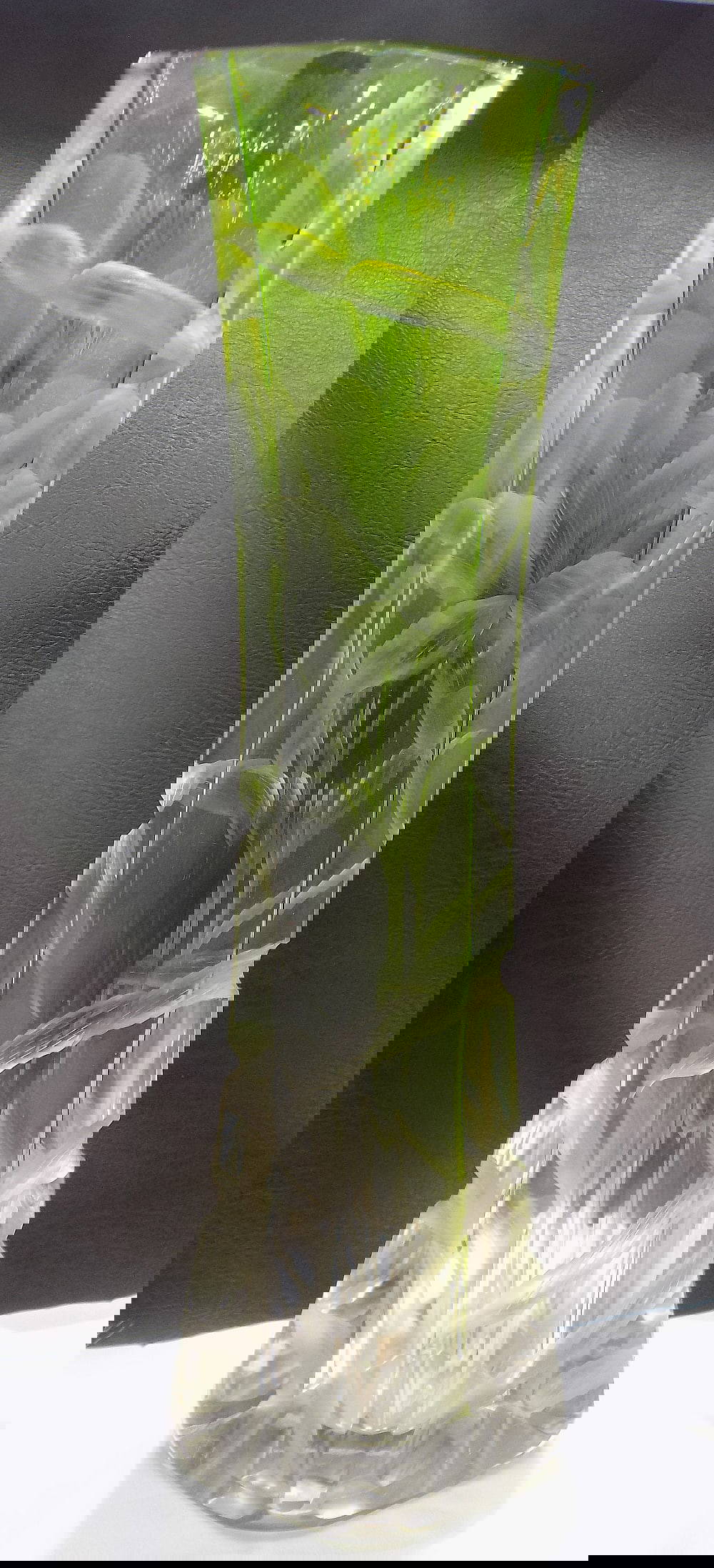 Large Antique Intaglio Cut Glass Moser Vase Auction