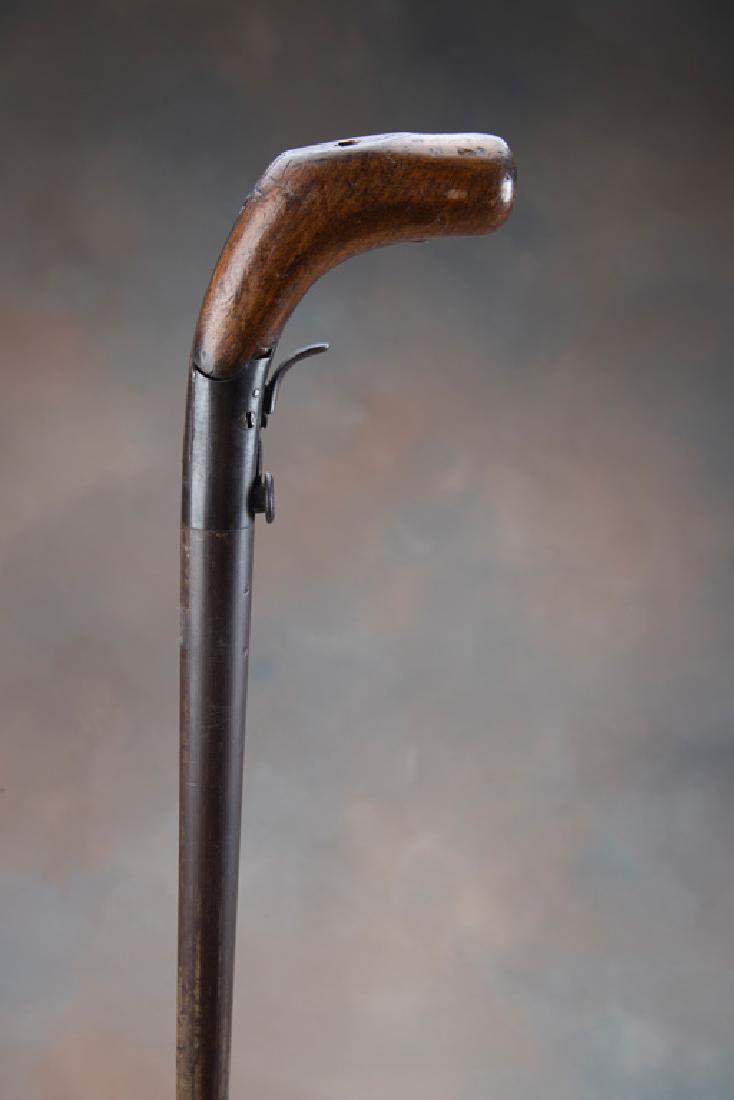 Early Shotgun Cane with percussion under hammer firing