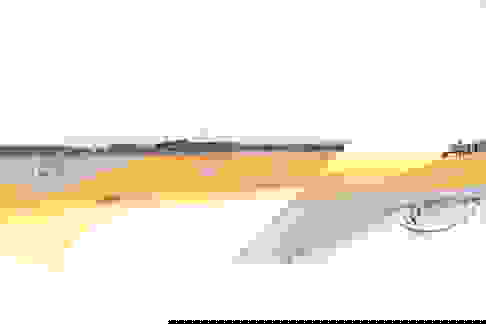 Springfield Arms Single Shot Bolt Action Rifle, .22 Lr Caliber, Sn Nv ...