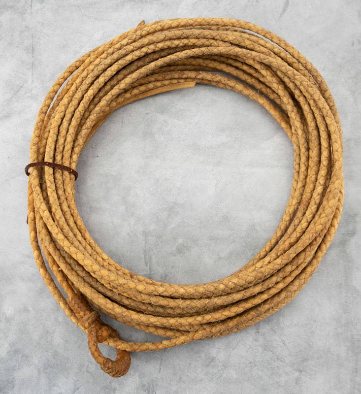 Outstanding 60 Ft. Braided Rawhide Reata With Leather Wrapped Hondo ...