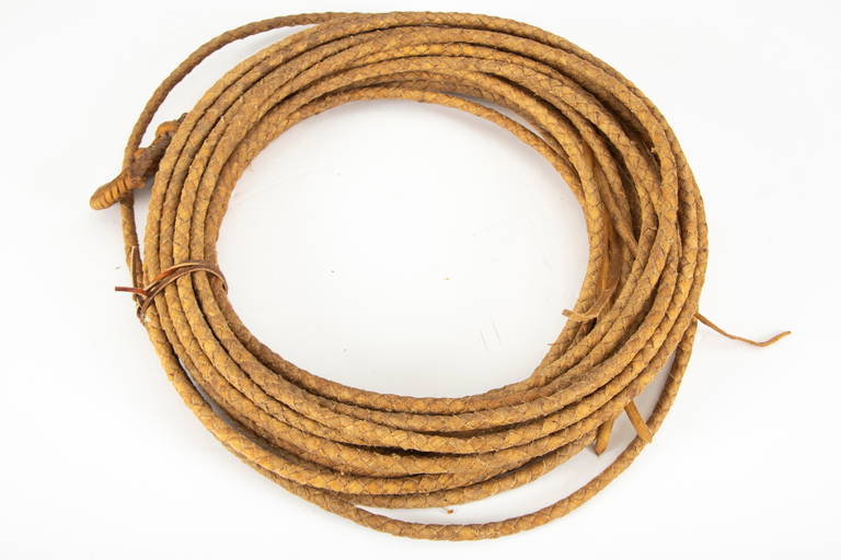 Fancy Rawhide Braided Reata, 60 Ft. Long With Rawhide Hondo. Most ...