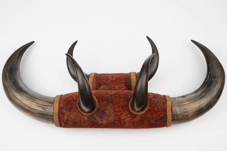 Exceptional Buffalo Horn Hanging Hat Rack Constructed Of Six Matching ...