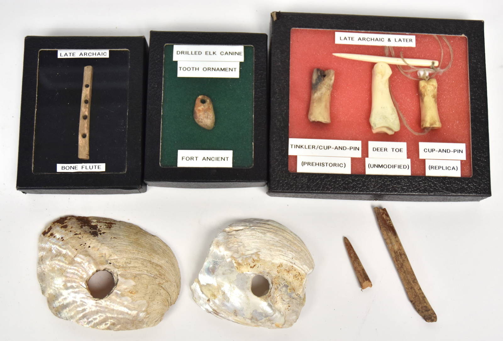 Bone & Shell Tools Auction