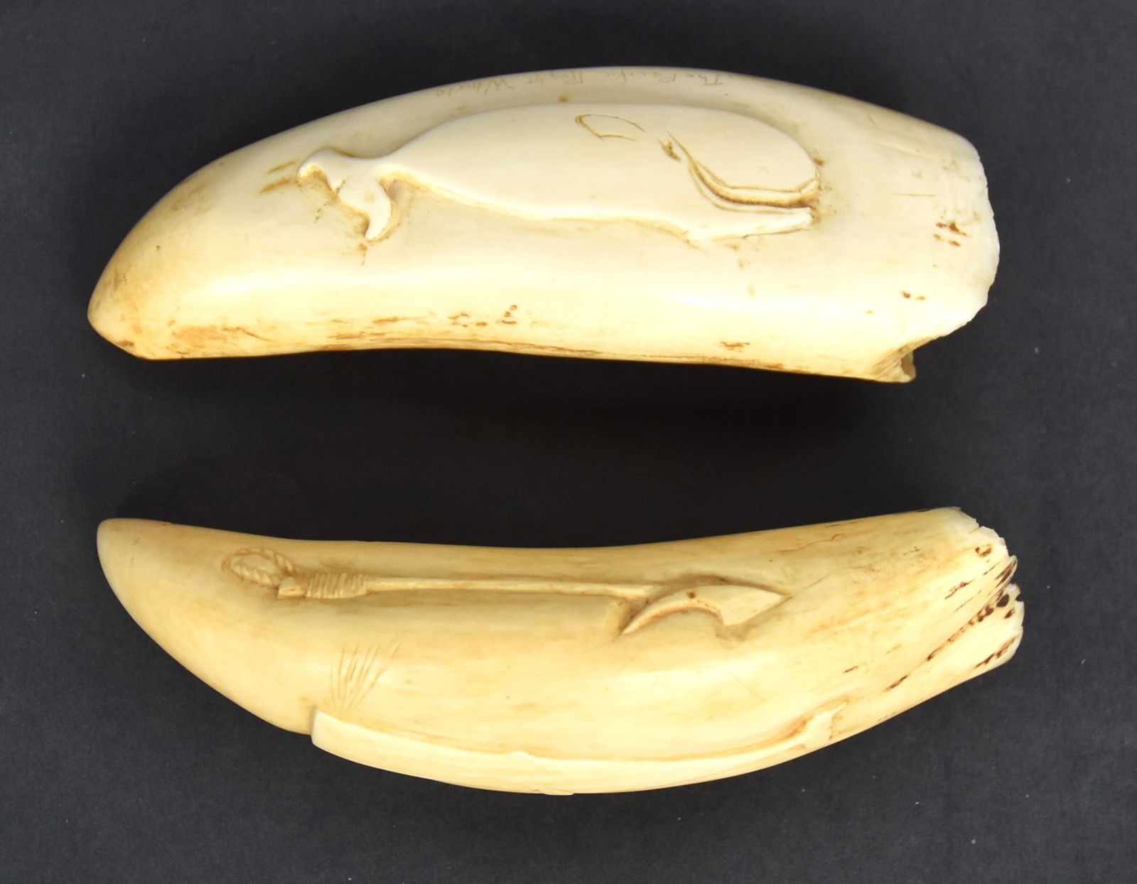 Two Scrimshaw Sperm Whales Teeth Auction