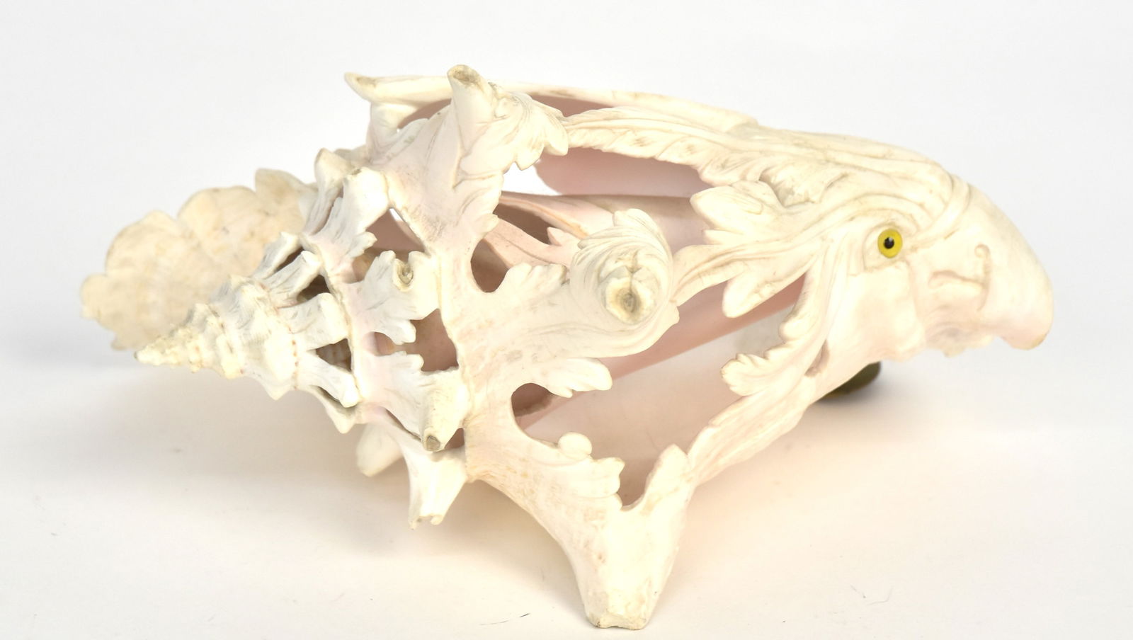 Outstanding Carved Conch Shell Auction