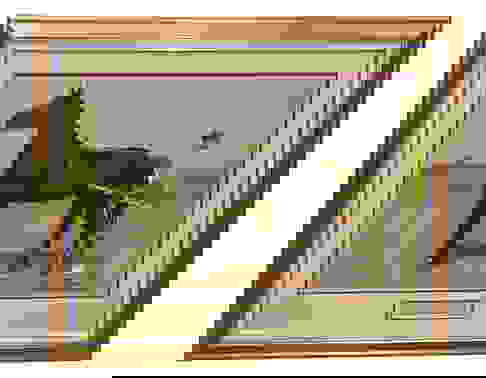 Dan Patch Chromolithographed Poster Auction