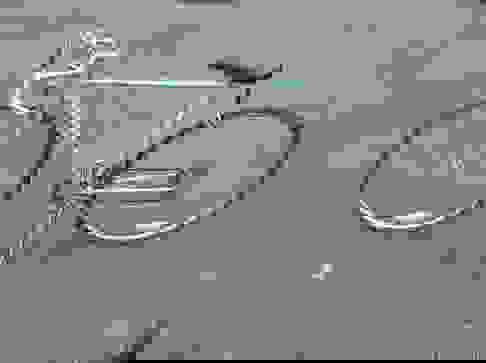 Vintage Schwinn World Ten Speed Bicycle Circa 1970-1980's Auction