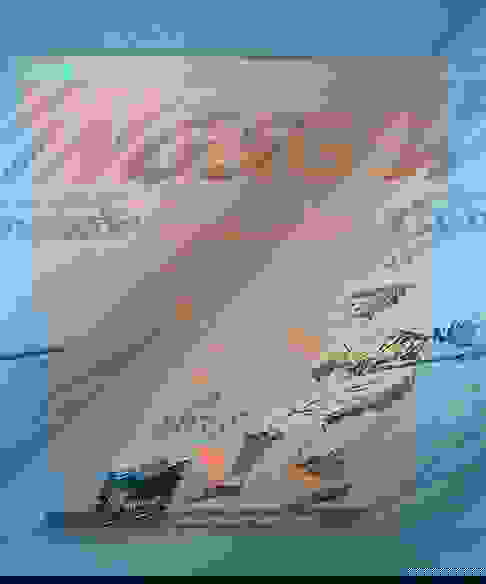 Wing Cigarettes A Hit Retro Style Advertising Sign Auction