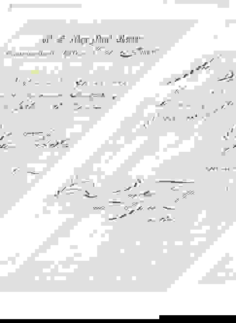 Silas H. Stringham Auction