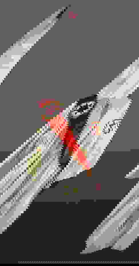 Woman’s Ku Klux Klan Hood And Robe Auction