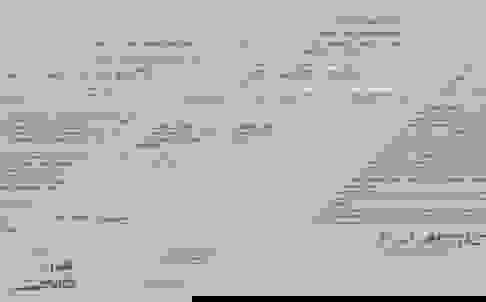 William Gott Auction