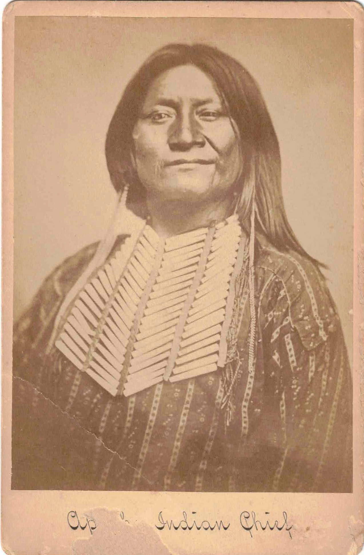 'apache Indian Chief' Photographic Portrait Auction