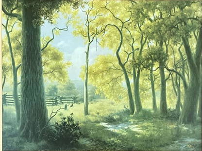 Limited Edition, Summer Of Innocence, Windberg