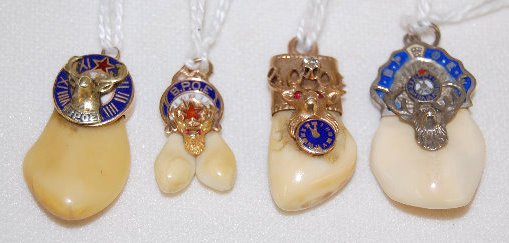 4 Gold Mounted Elks Teeth, B.P.O.E. Lodge