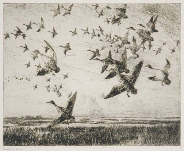 Frank W. Benson Morning Flight Etching