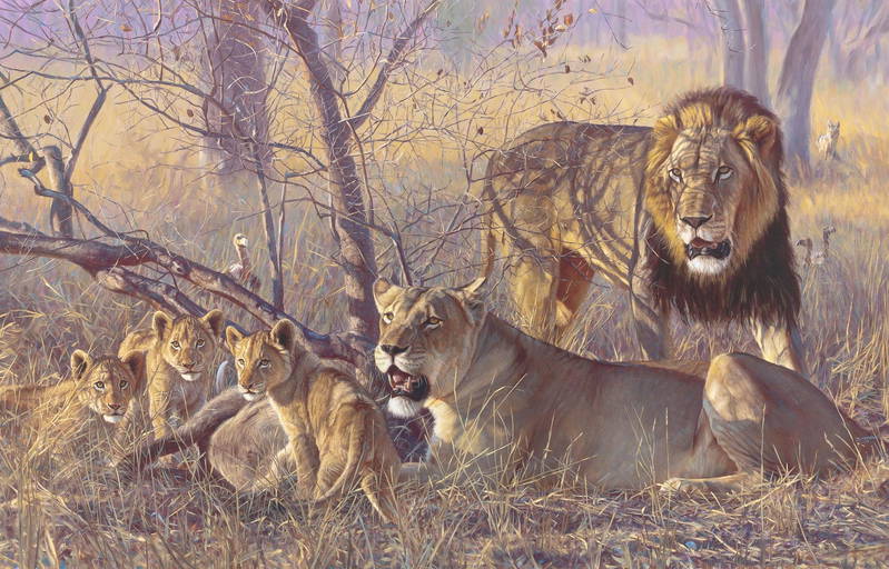 John Banovich American, B. 1964 Bahati Ya Kawinda