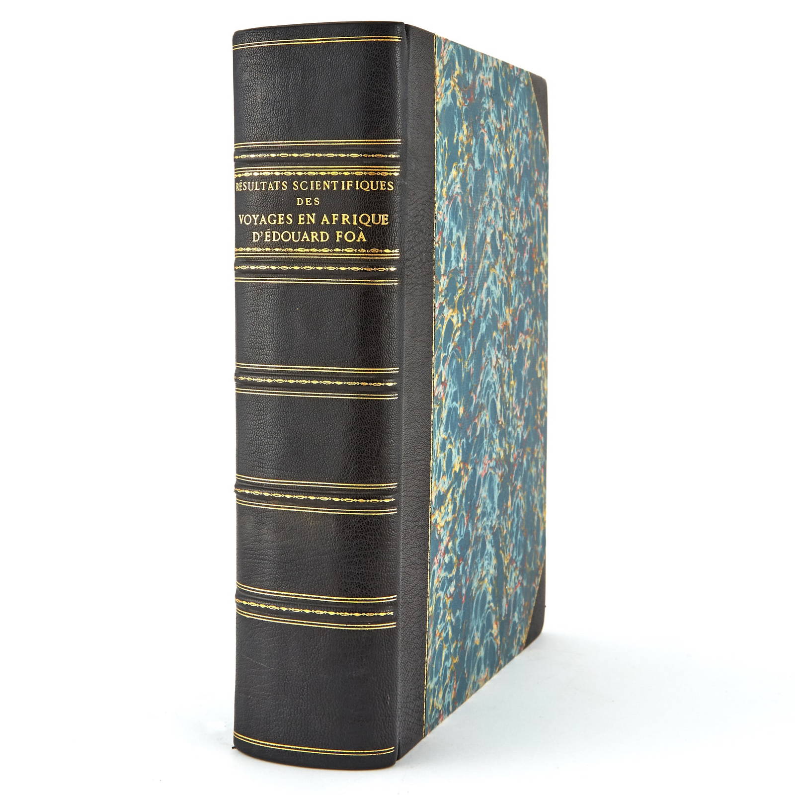 Edouard Foa's Explorations Of Africa Auction