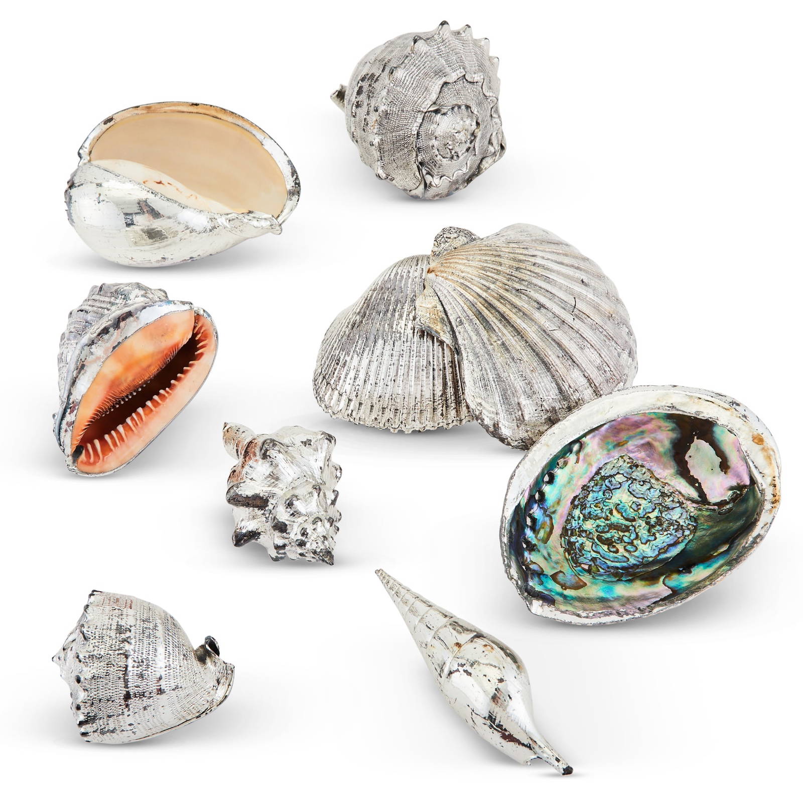 Group Of Nine Silvered Seashells Auction