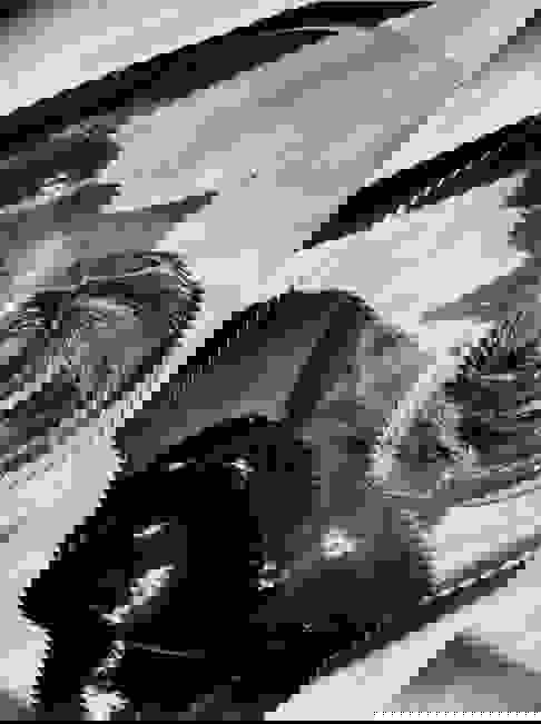 Clarence John Laughlin. Pepper Into Glass, Glass Into Fluid Auction