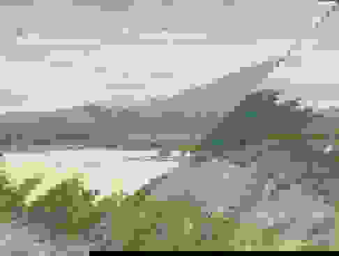 George Wexler Auction