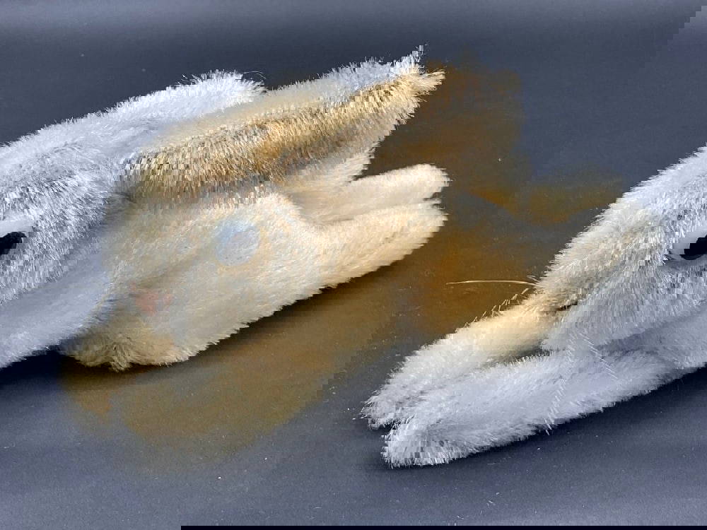 Early Vintage Steiff Bunny Rabbit Auction