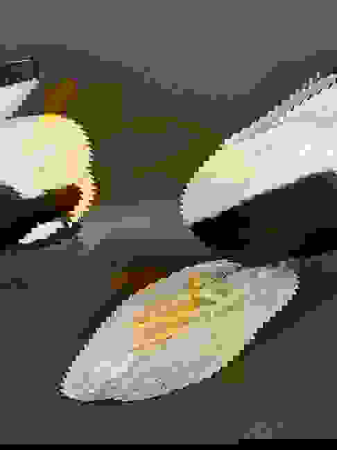 Common Eider Bird Taxidermy Mount Auction