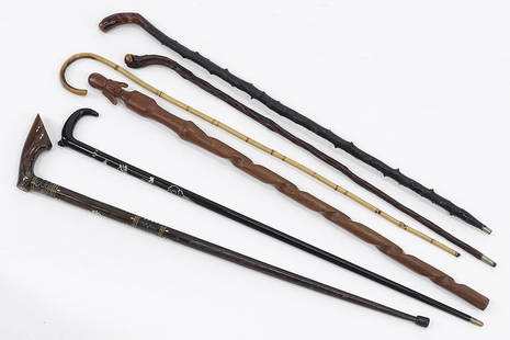 A Collection Of 18 Canes And Walking Sticks