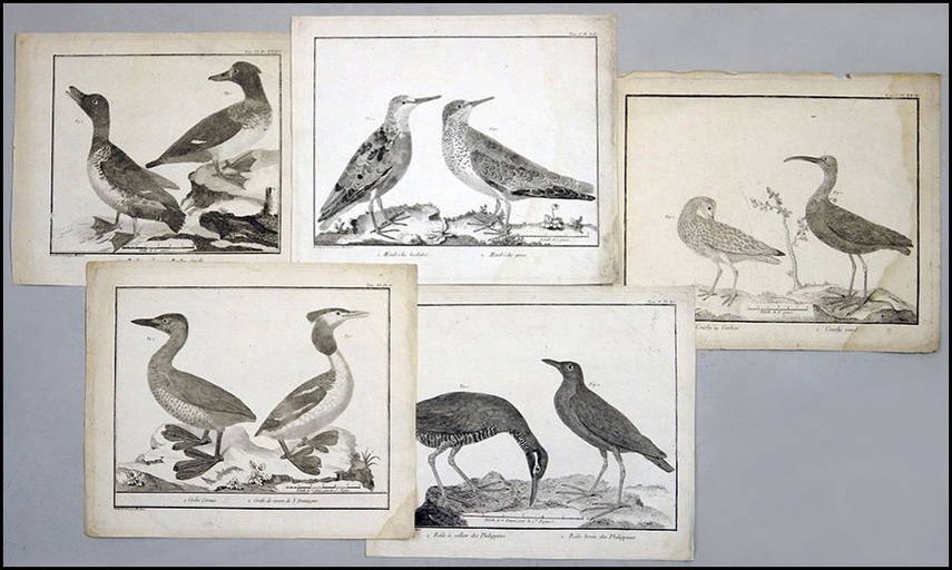 AFTER FRANCOIS-NICOLAS MARTINET (FRENCH, 1725-1804) FIV - Aug 08, 2013 ...