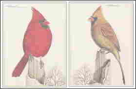 RICHARD MUELLER (AMERICAN, 20TH CENTURY) TWO COLORED - Feb 22, 2014 ...