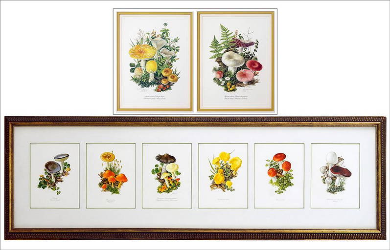 Anne Ophelia Dowden (american, 1907 2007) A Pair Of