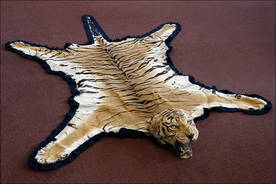 Full Mount Bengal Tiger Skin Rug - Jan 17, 2016 | Neely Auction in FL