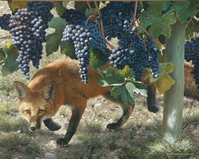 Between The Vines Red Fox Paper Signed And Numbered