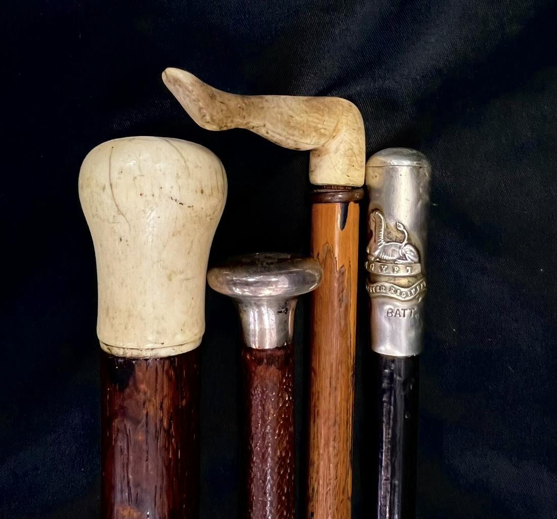 (19th C) Walking Sticks, Cane & Swagger Stick